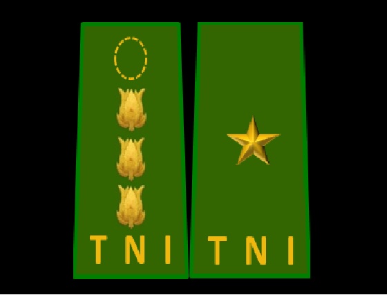 Daftar 18 Kolonel TNI AD Pecah Bintang Alias Promosi Brigjen